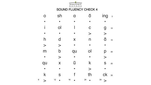 Free Fluency Check Bundle 3 – The Maloney Method